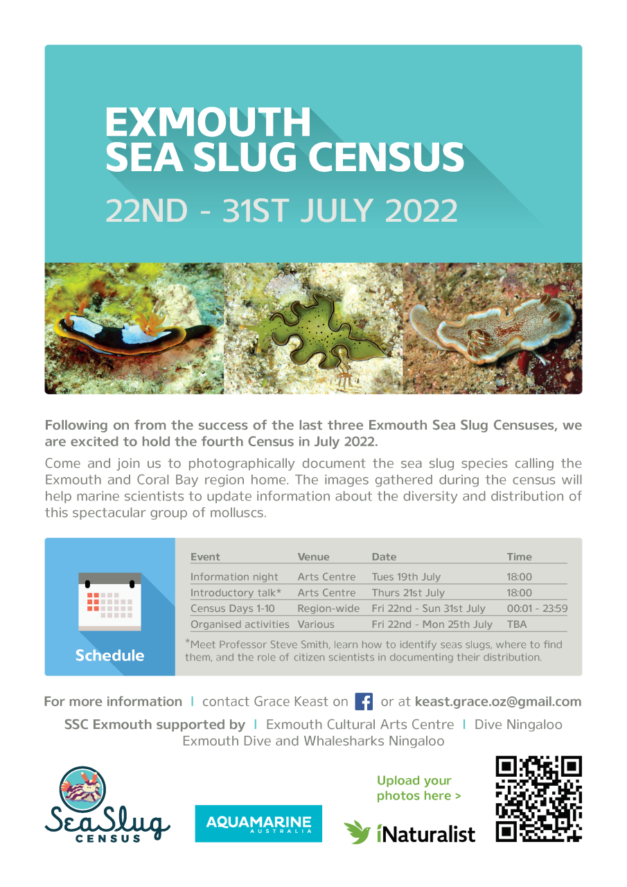 Exmouth Sea Slug Census » Shire of Exmouth, WA