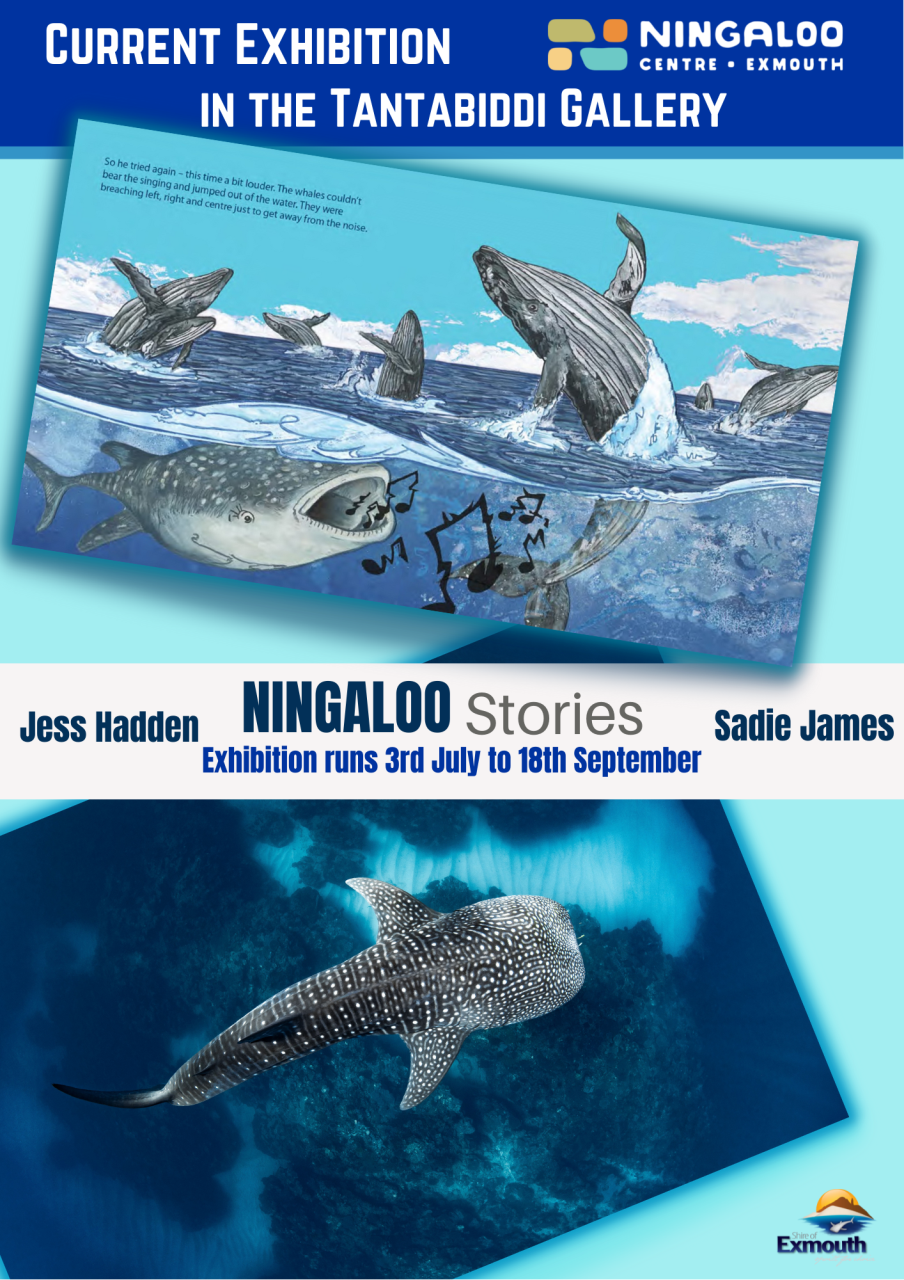 Current Exhibition- Tantabiddi Gallery » Shire of Exmouth, WA