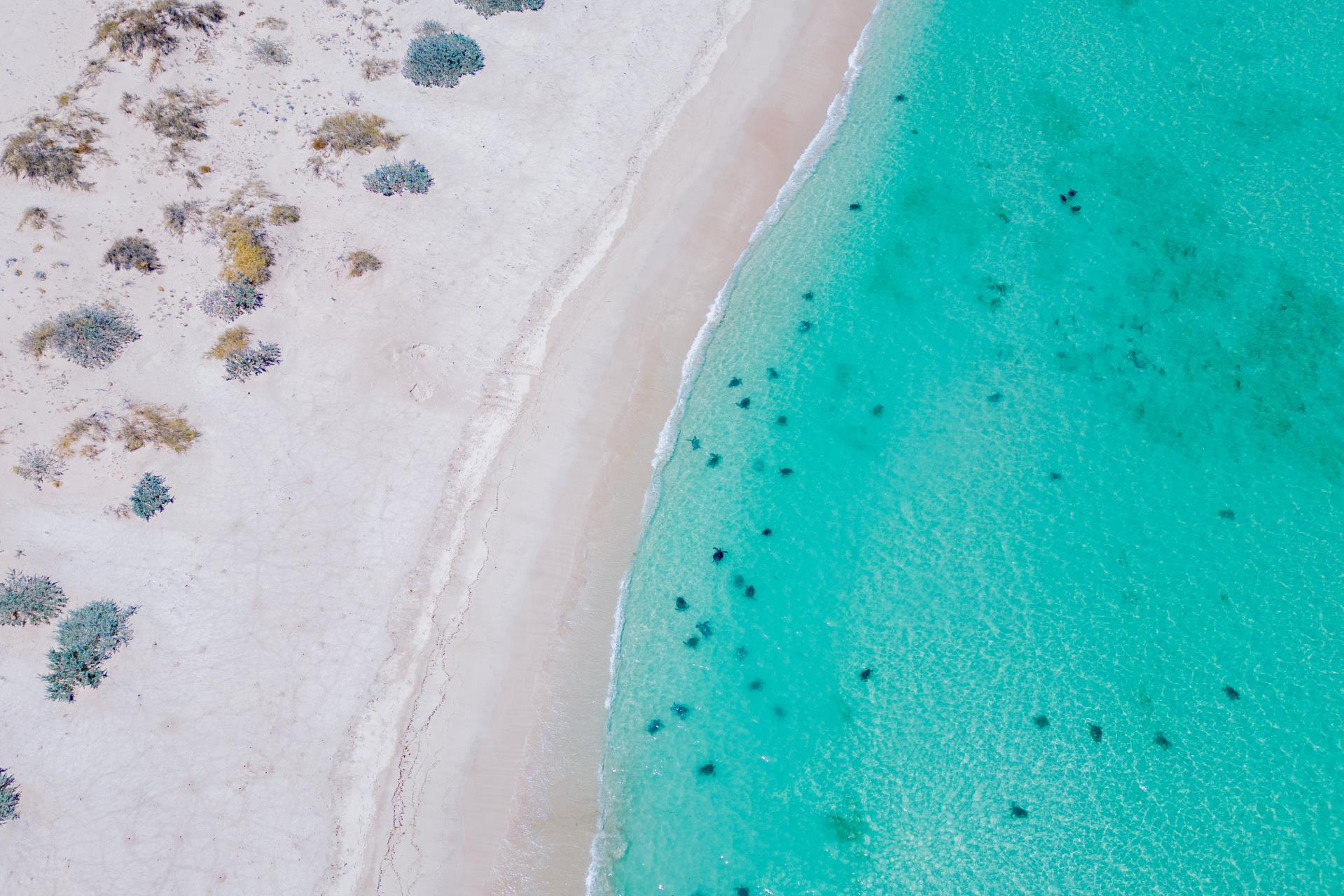 News Story - Exmouth Crowned National Top Tourism Town: A Celebration ...